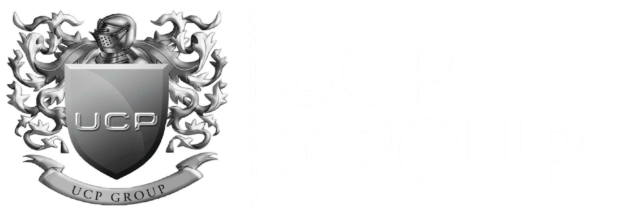 Rifle & Carbine Training Courses - UCP GROUP